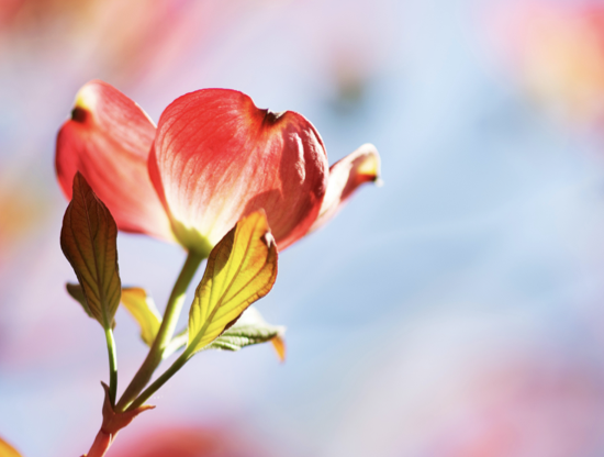 Quanto tempo é tempo demais sem sexo em um relacionamento? - br.adopte.app